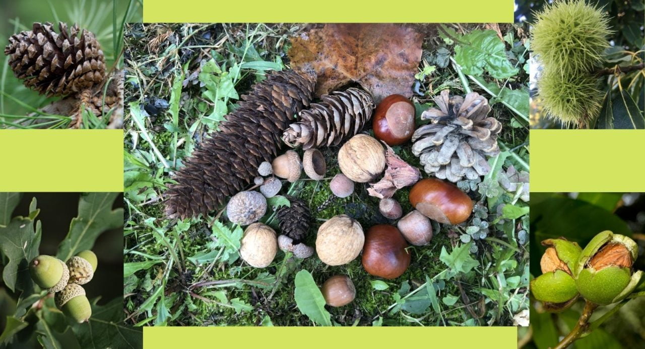 6+1 tuti tipp az őszi termések előkészítéséhez • Ötletcsepp kreatív blog