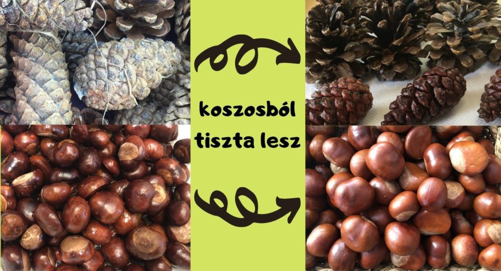 6+1 tuti tipp az őszi termések előkészítéséhez • Ötletcsepp kreatív blog