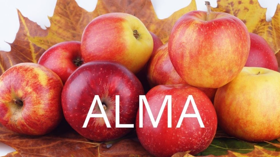 Őszi szünet - Alma • Ötletcsepp kreatív blog