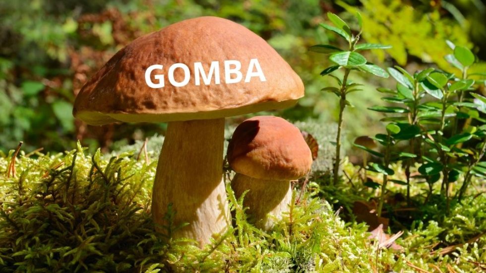 Őszi szünet - Gomba • Ötletcsepp kreatív blog