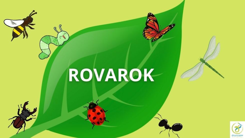 Rovarok, bogarak • Ötletcsepp kreatív blog