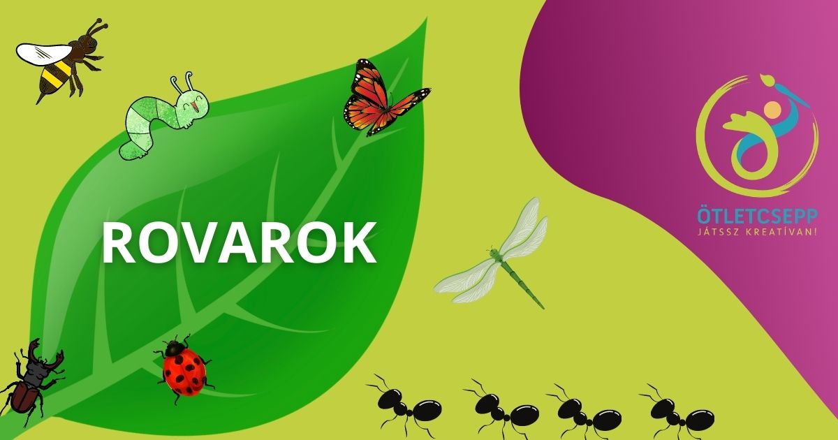 Rovarok, bogarak • Ötletcsepp kreatív blog